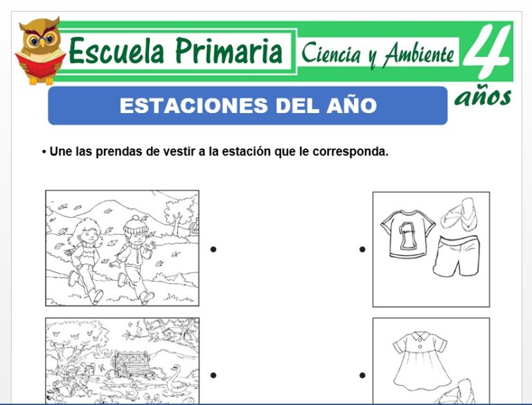Actividades de las estaciones para Niños de 4 Años – Escuela Primaria